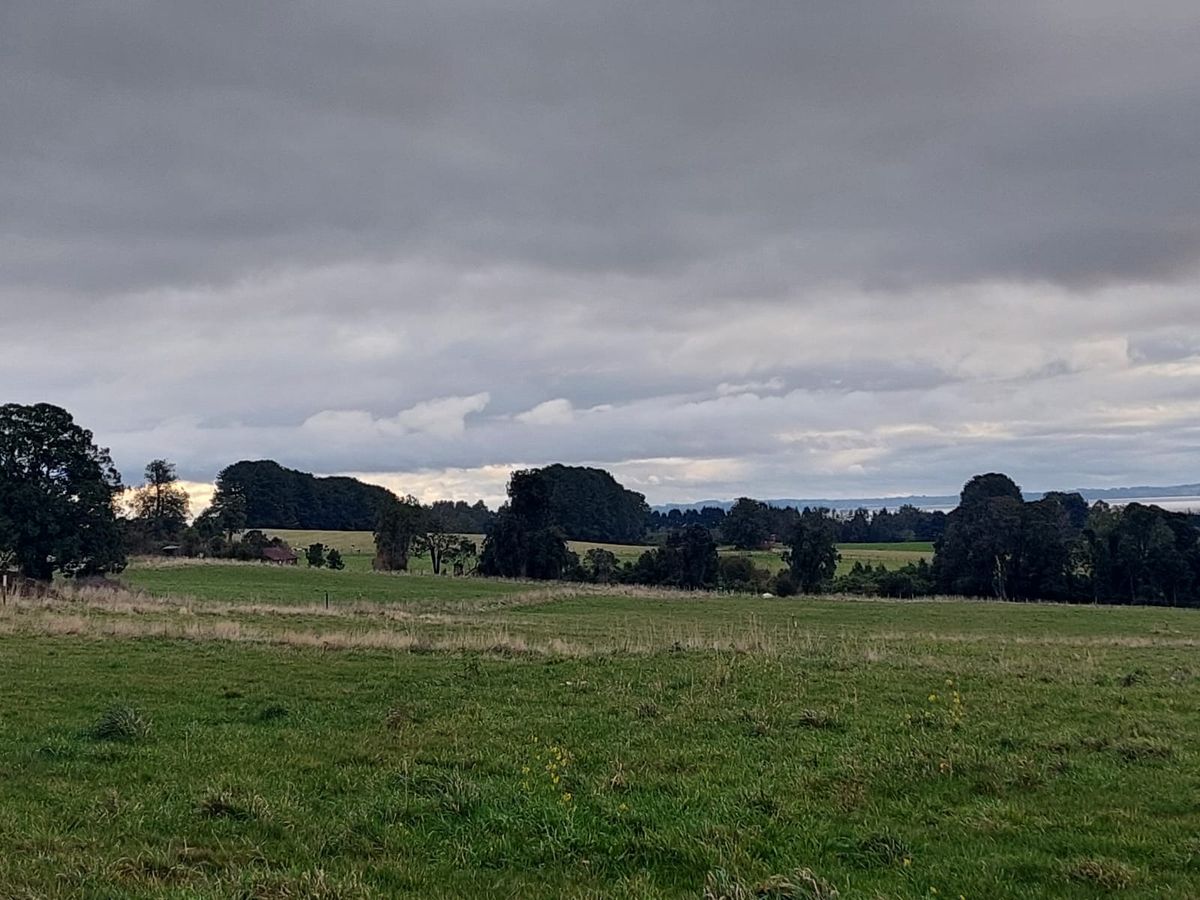 Linda parcela con vista al lago sector Los Riscos en Puerto Varas ...
