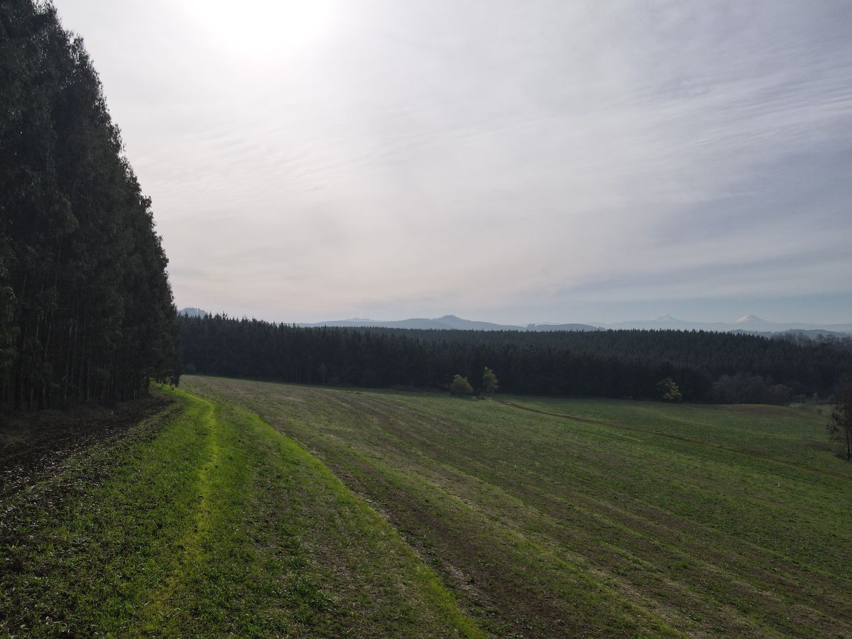 Vista Volcanes en Lautaro, Región de Araucania | Property Partners Chile